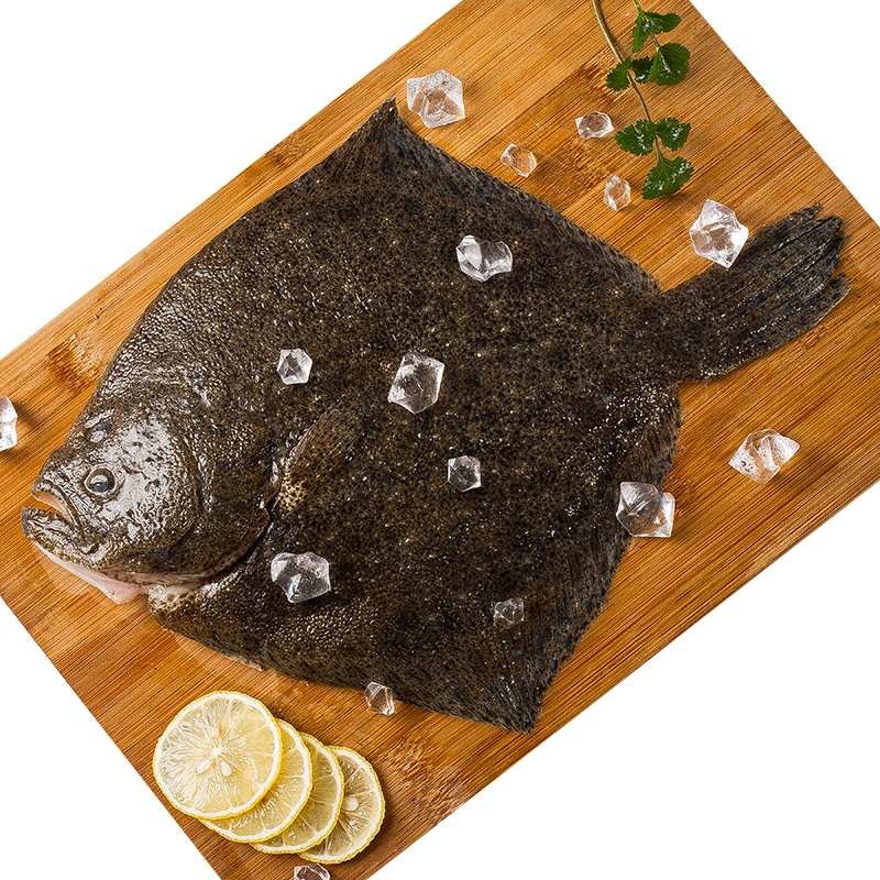 Turbot 新鲜多宝鱼 – 51Fish 我要生鲜
