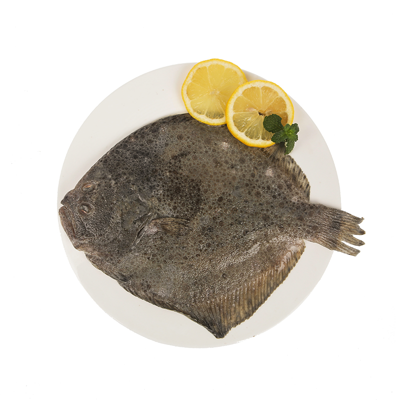 Turbot 新鲜多宝鱼 – 51Fish 我要生鲜